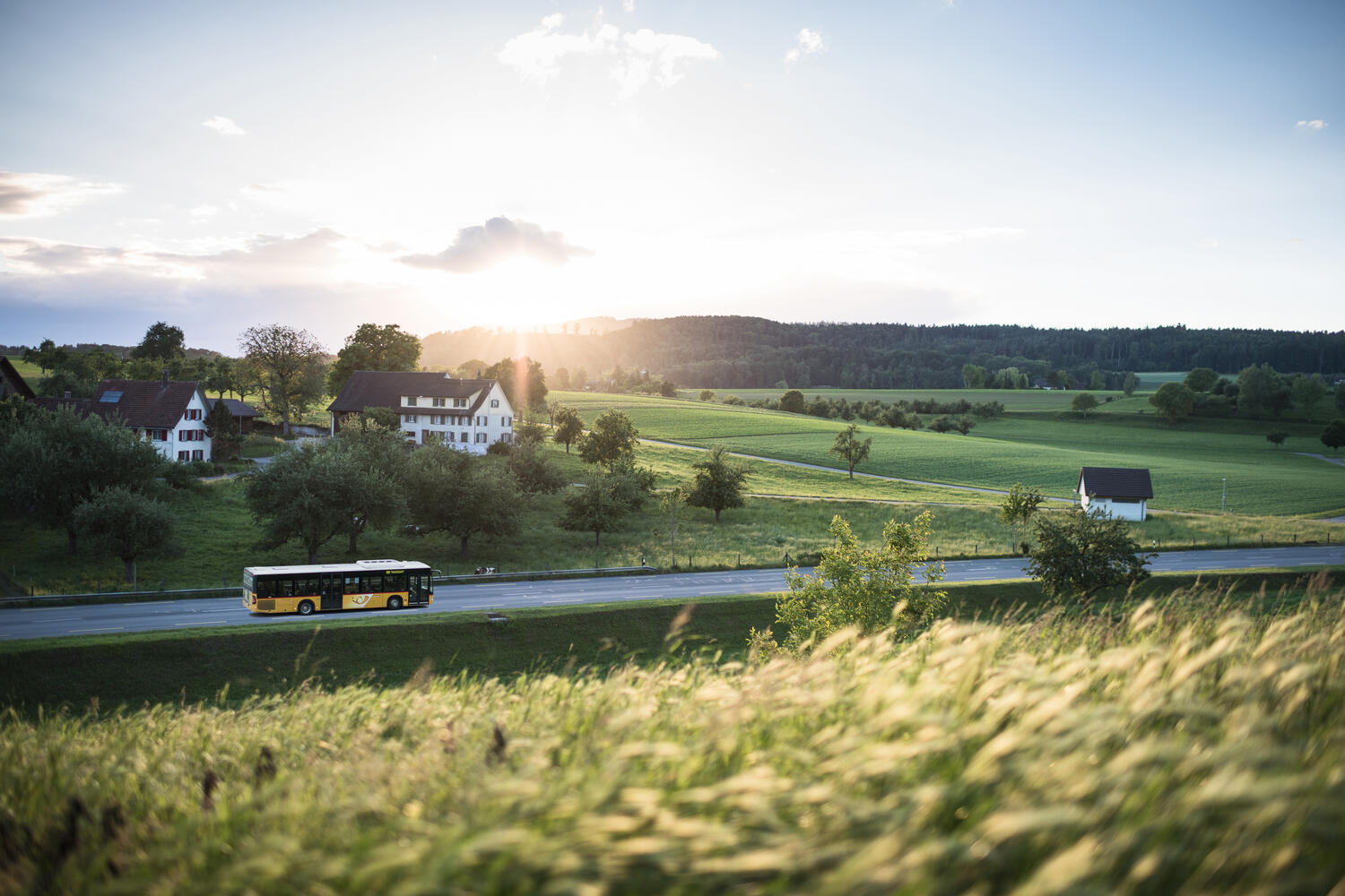 Organisation | OSTWIND – steigen Sie ein.